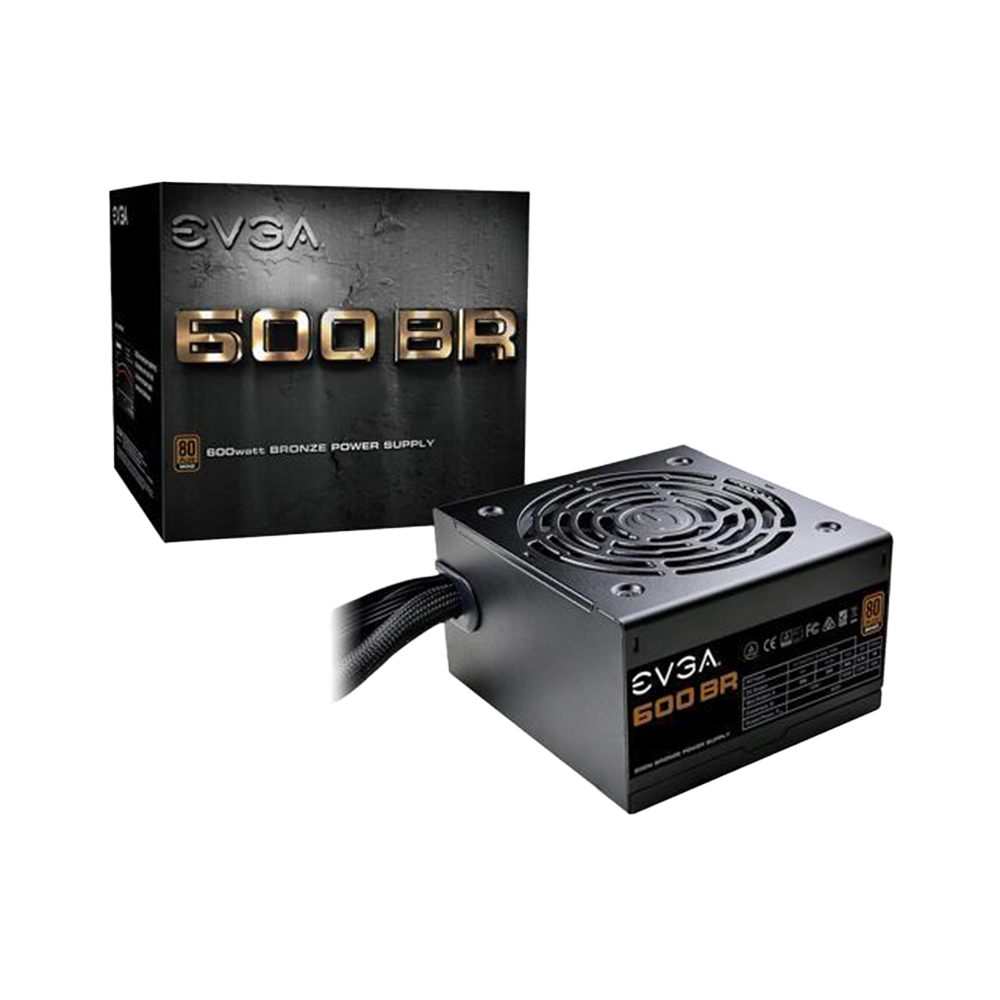 600w | Paradox Customs